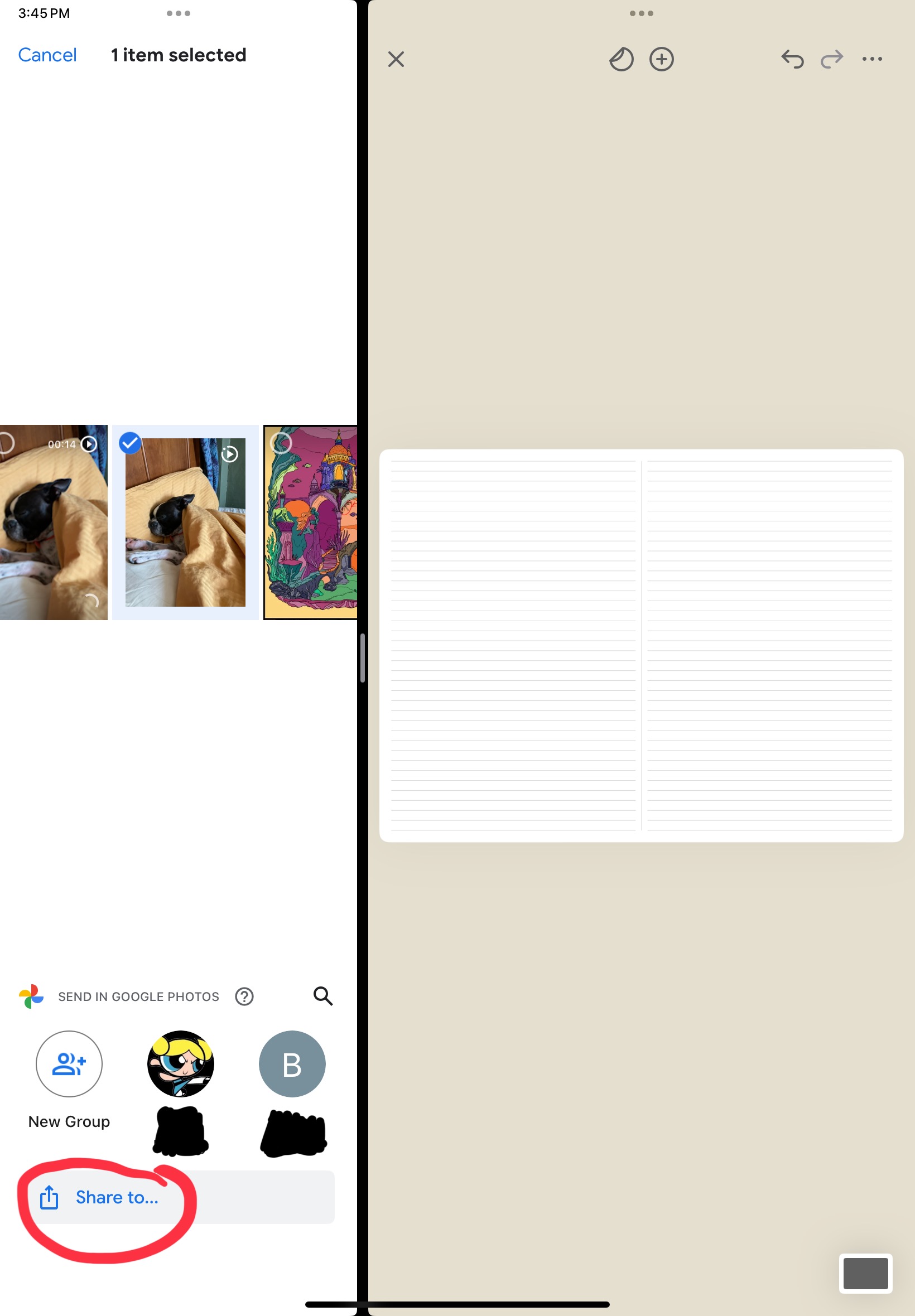 Import Images from Google Photos – Pixite Inc.
