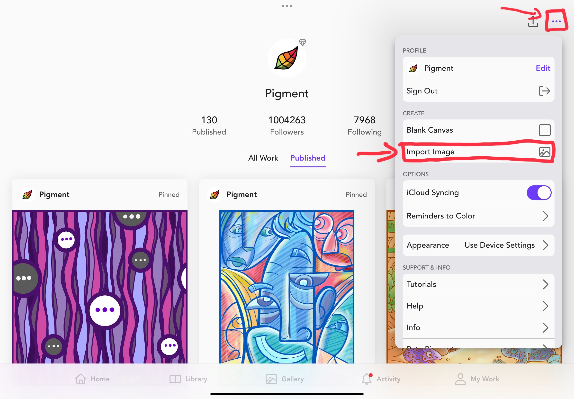 Import Coloring Pages – Pixite Inc.